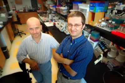 Drs. Leszek Ignatowicz and Raf [IMAGE] | EurekAlert! Science News Releases