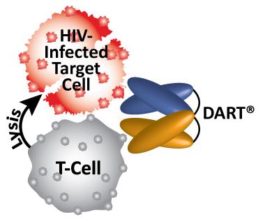 DART protein shows potential as shock-and-kil | EurekAlert!