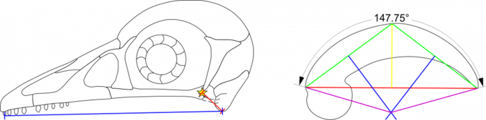 Evidence of carnivory [IMAGE] | EurekAlert! Science News Releases