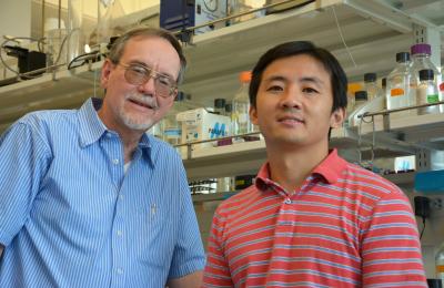 Michael Smerdon and Peng Mao [IMAGE] | EurekAlert! Science News Releases