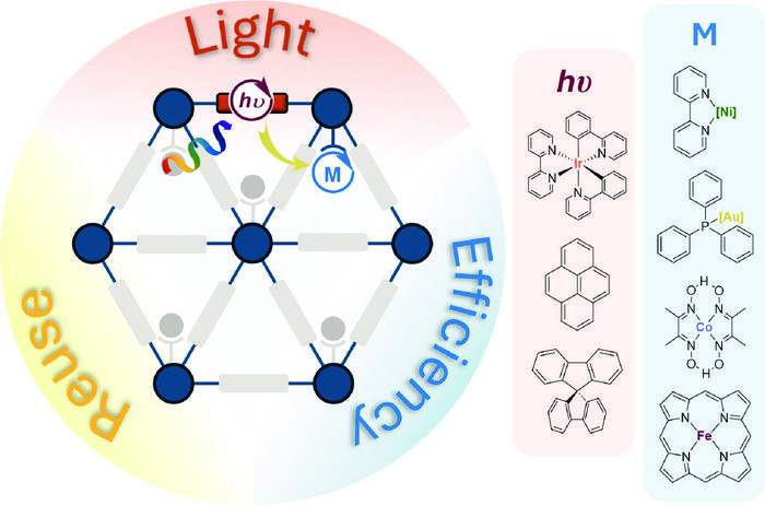 Rational design of multifuncti [IMAGE] | EurekAlert! Science News Releases