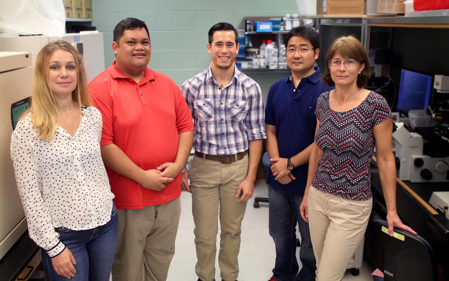 Replacement Of The Y Chromosome In Male Mice Eurekalert