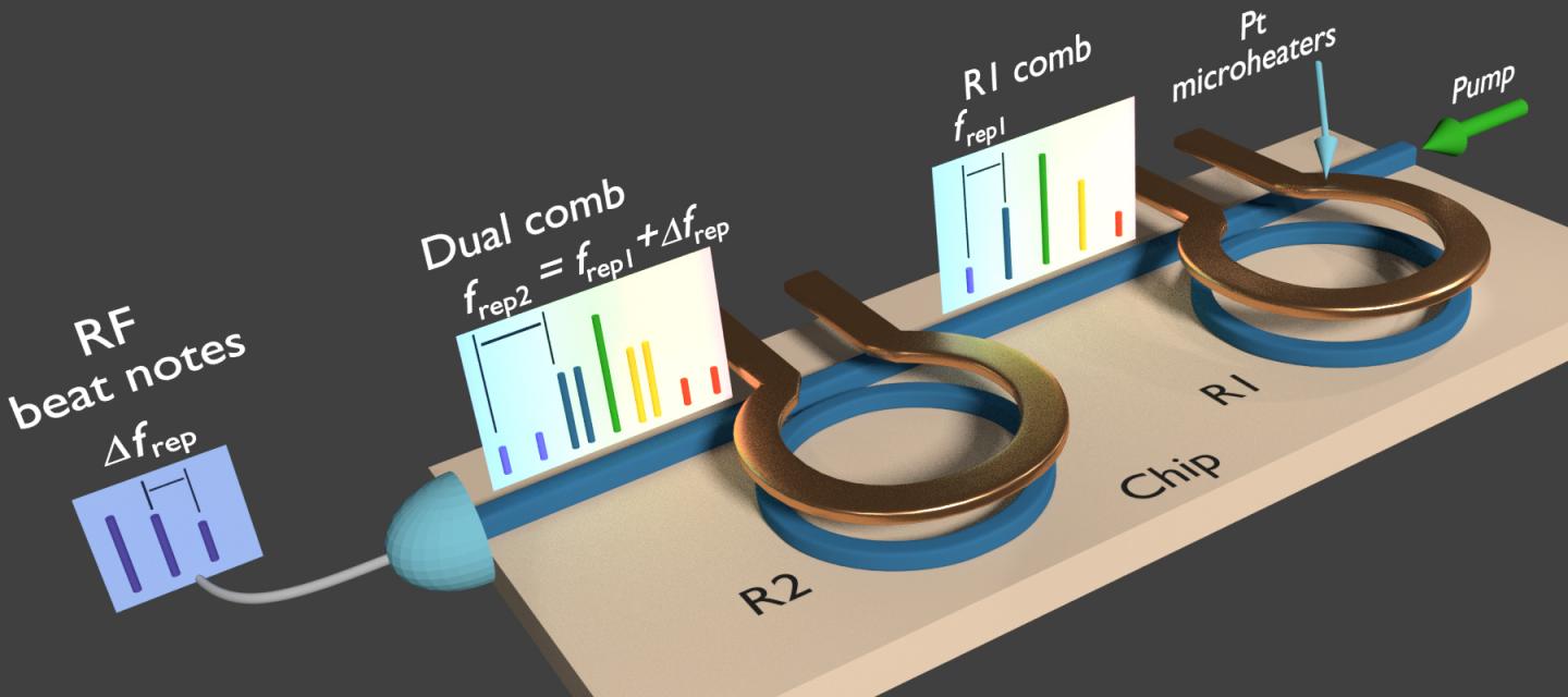 On-chip dual-comb source for spectroscopy (1 | EurekAlert!