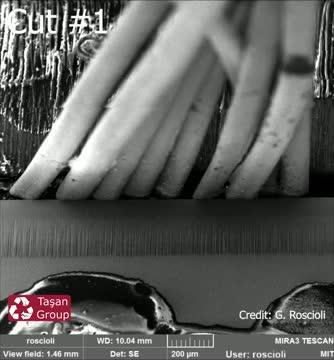 How Soft Hair Deforms the Sharpest Steel Blad | EurekAlert!