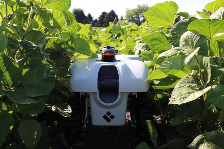 Vision for ultra-precision ag: Machine learni | EurekAlert!