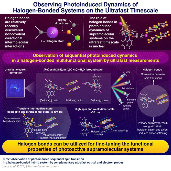 Observing Photoinduced Dynamic [IMAGE] | EurekAlert! Science News Releases