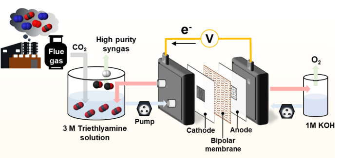Figure 3 [IMAGE] | EurekAlert! Science News Releases