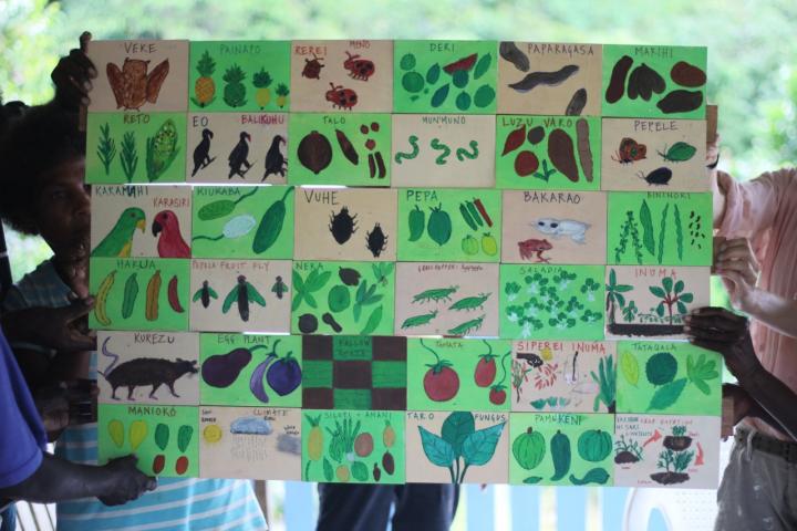 Local Drawings [IMAGE] | EurekAlert! Science News Releases