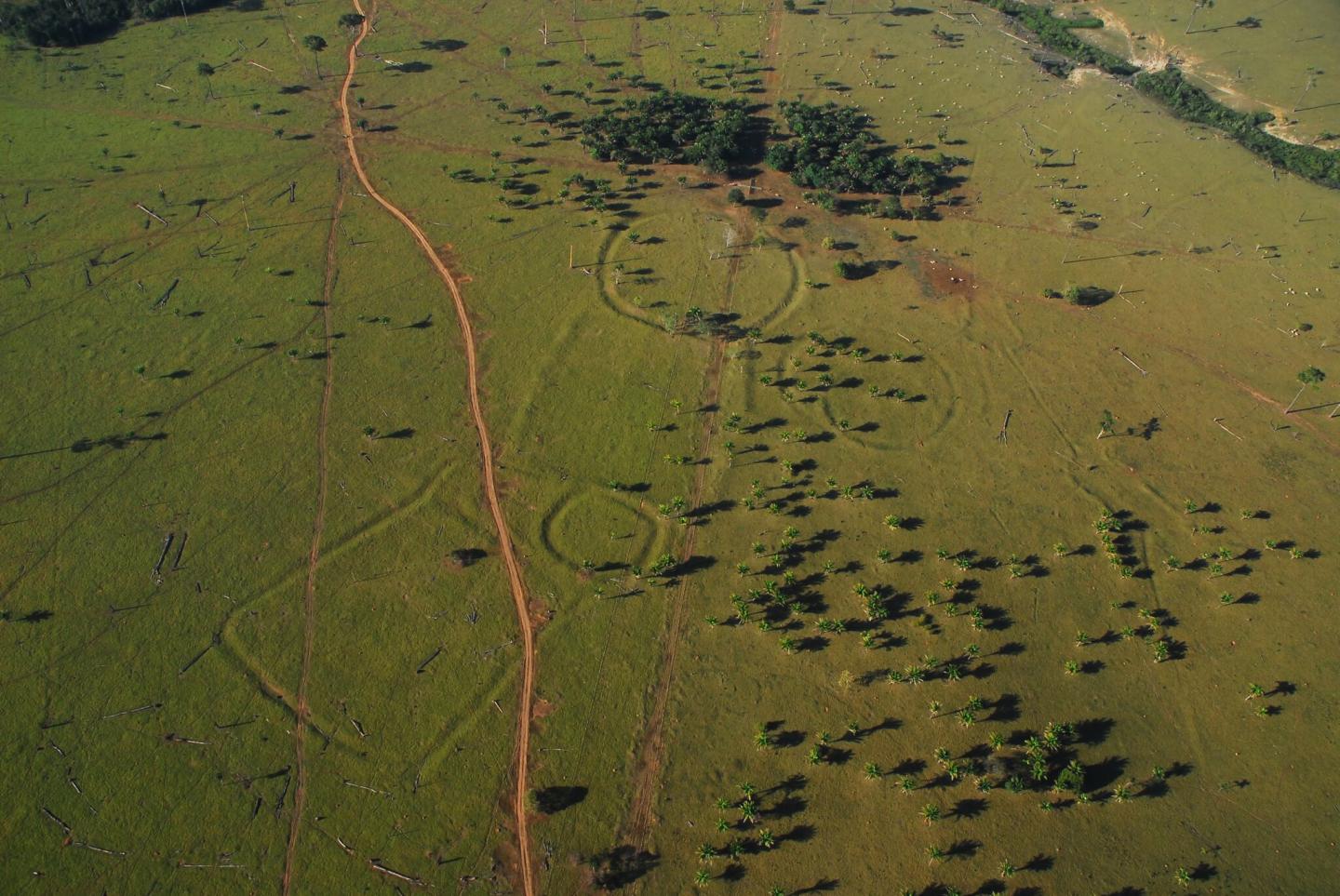 Geoglyph Photos [IMAGE] | EurekAlert! Science News Releases