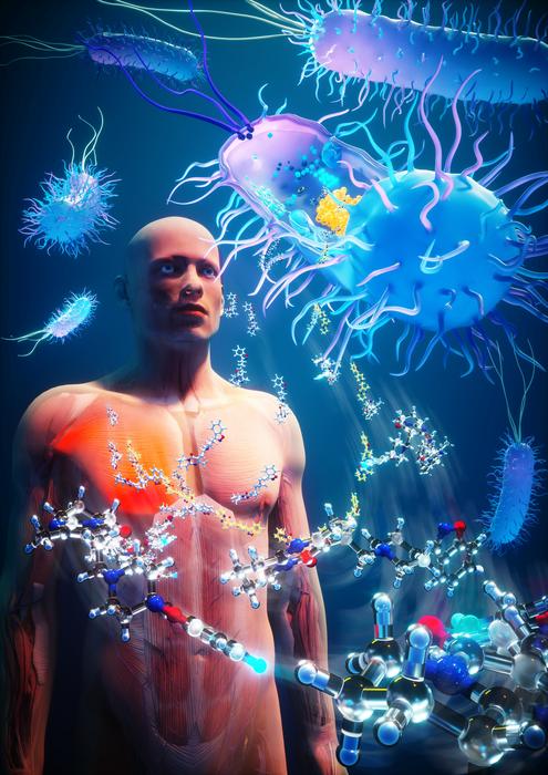 New bacteria-derived hydrogel [IMAGE] | EurekAlert! Science News Releases