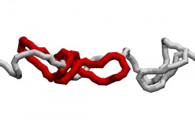 Knotted DNA [IMAGE] | EurekAlert! Science News Releases