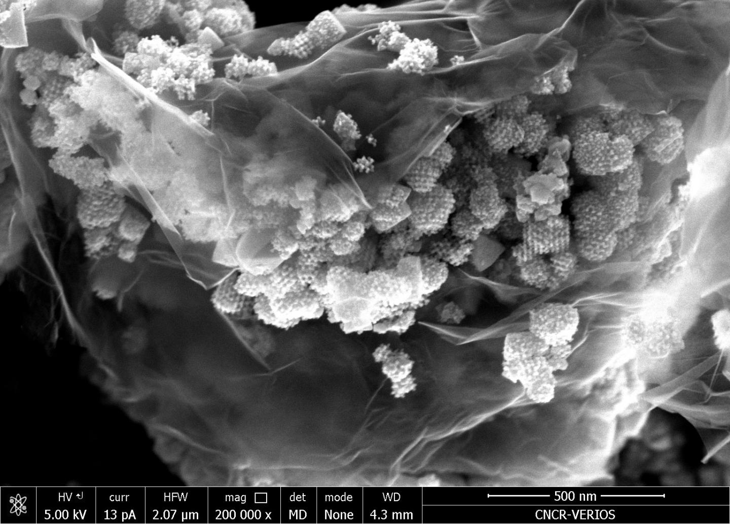 Graphene IMAGE EurekAlert Science News Releases