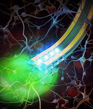 Drugs and Light [IMAGE] | EurekAlert! Science News Releases