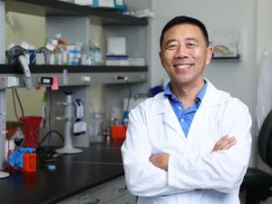 Xue lab at the CDI publishes groundbreaking i | EurekAlert!