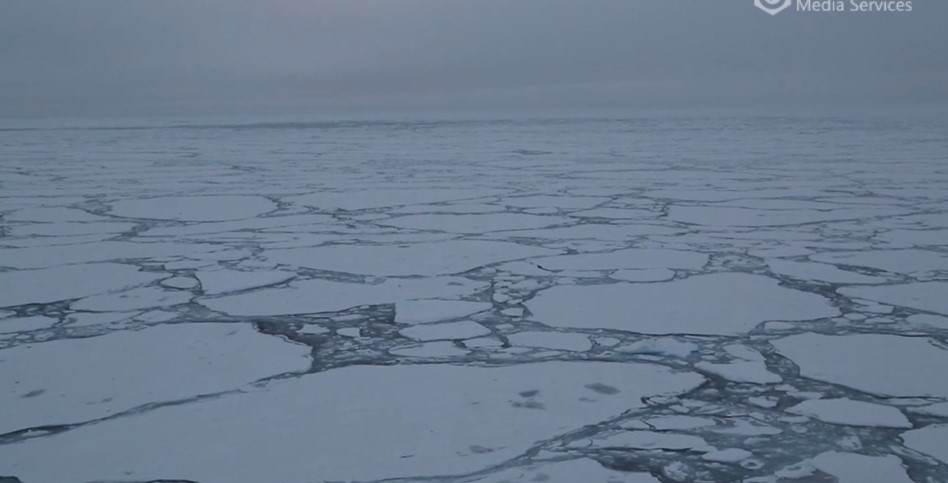 Strongest Arctic cyclone on record led to sur | EurekAlert!