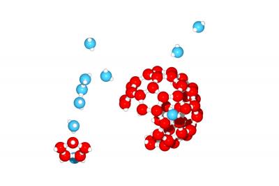 How Viruses Self Assemble [IMAGE] | EurekAlert! Science News Releases