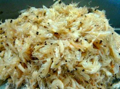 Krill [IMAGE] | EurekAlert! Science News Releases