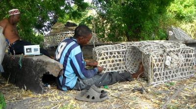 Building a better fish trap: WCS reduces fish | EurekAlert!