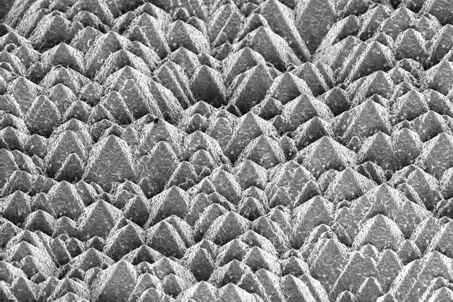 Silicon's Pyramids Covered wit [IMAGE] | EurekAlert! Science News Releases