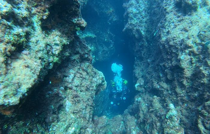 Underwater [IMAGE] | EurekAlert! Science News Releases