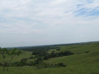 Orinoco River Basin (1 of 2) [IMAGE] | EurekAlert! Science News Releases