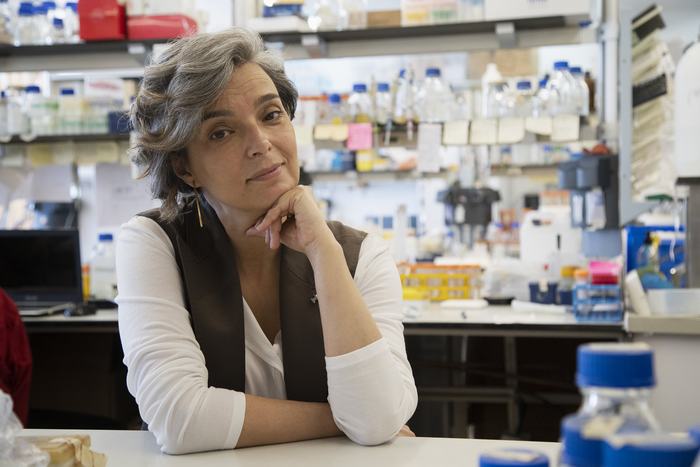 Maria Manuel Mota [IMAGE] | EurekAlert! Science News Releases