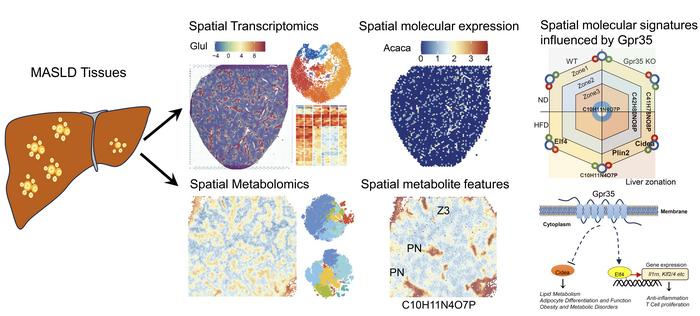 Figure 1 [IMAGE] | EurekAlert! Science News Releases