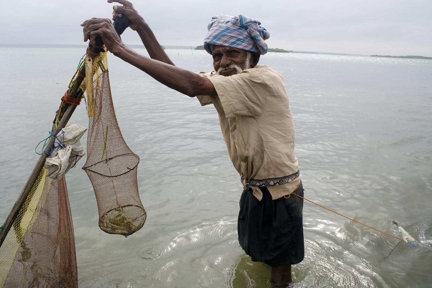 Reducing Damage from Illegal, Unreported, and | EurekAlert!