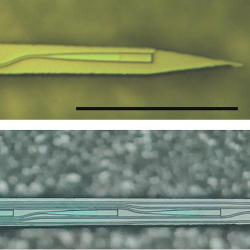Probe Illustration [IMAGE] | EurekAlert! Science News Releases
