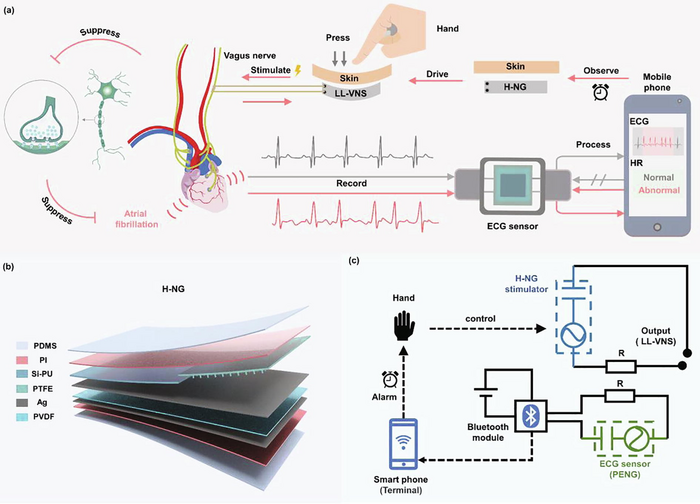 Overview and principle of the [IMAGE] | EurekAlert! Science News Releases