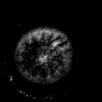 Watching the Zebrafish Cells Divide (8 of 17) | EurekAlert!