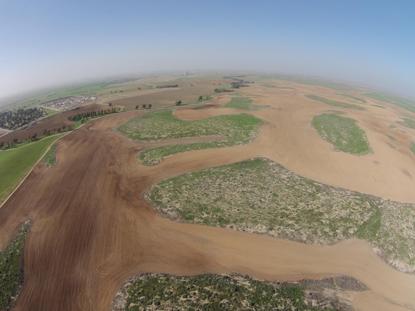 Scrub Habitat [IMAGE] | EurekAlert! Science News Releases