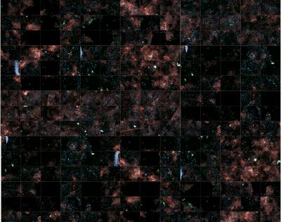 Collage of Cells [IMAGE] | EurekAlert! Science News Releases