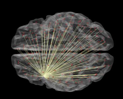 Global Brain Connectivity [IMAGE] | EurekAlert! Science News Releases