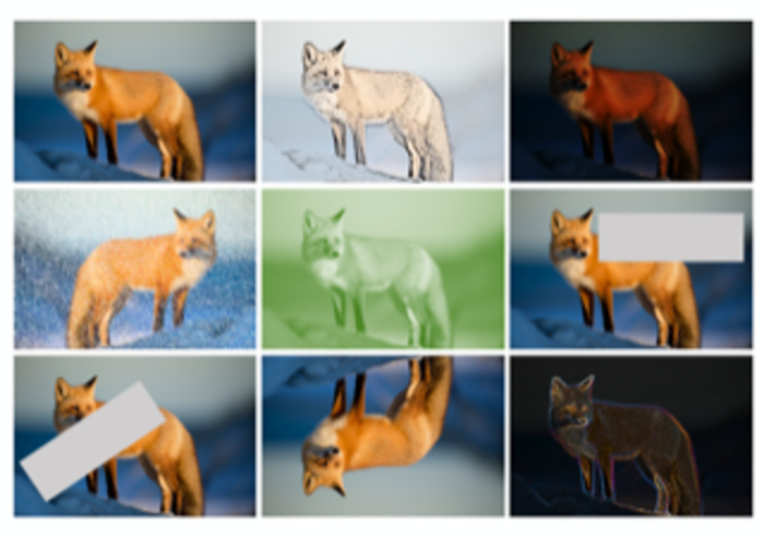 The role of variability: From playing tennis | EurekAlert!