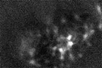 New deep-brain imaging reveals separate funct | EurekAlert!