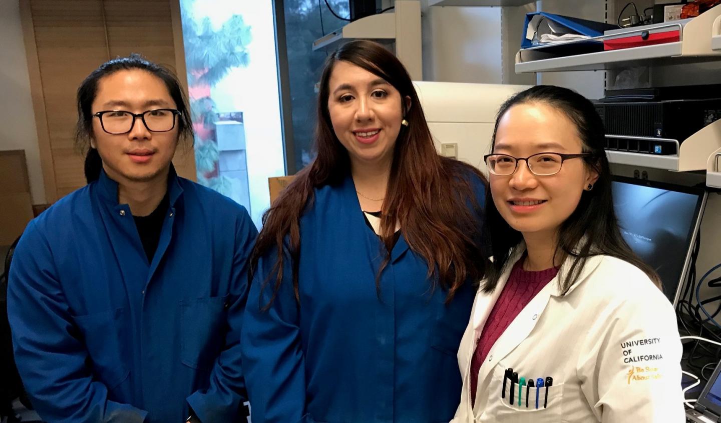 Zheng Lab [IMAGE] | EurekAlert! Science News Releases