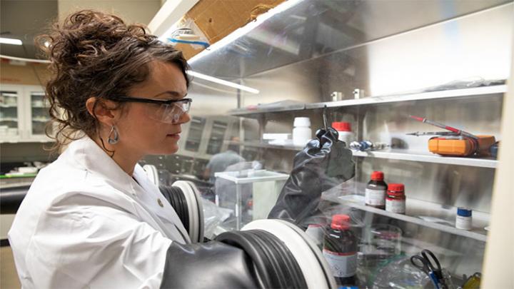 Eranda Nikolla, Wayne State Un [IMAGE] | EurekAlert! Science News Releases