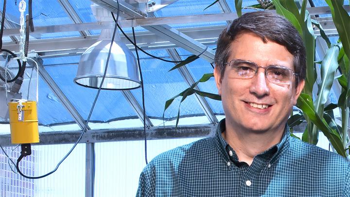 Cahoon [IMAGE] | EurekAlert! Science News Releases