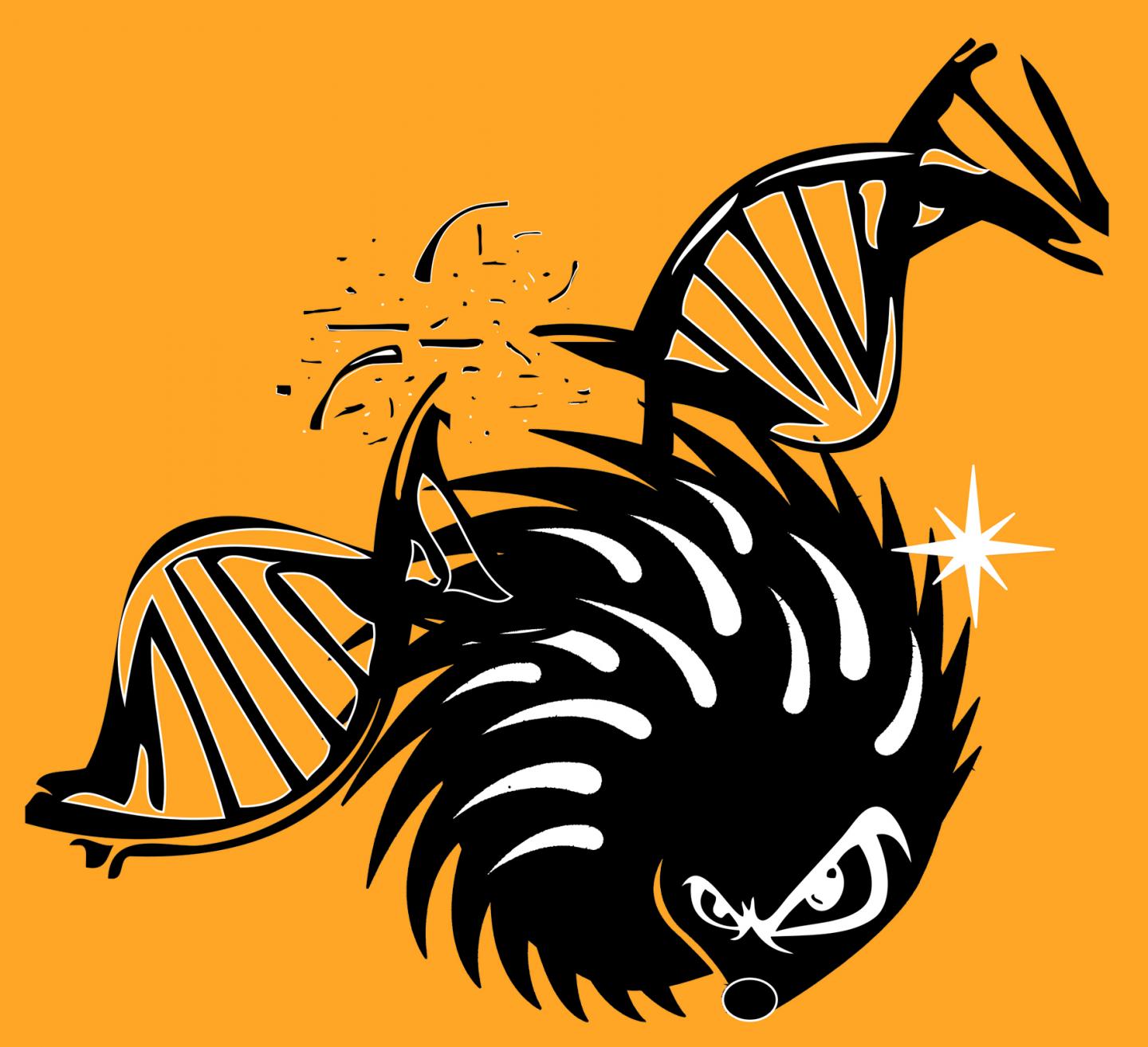 Sonic Hedgehog protein causes DNA damage and | EurekAlert!