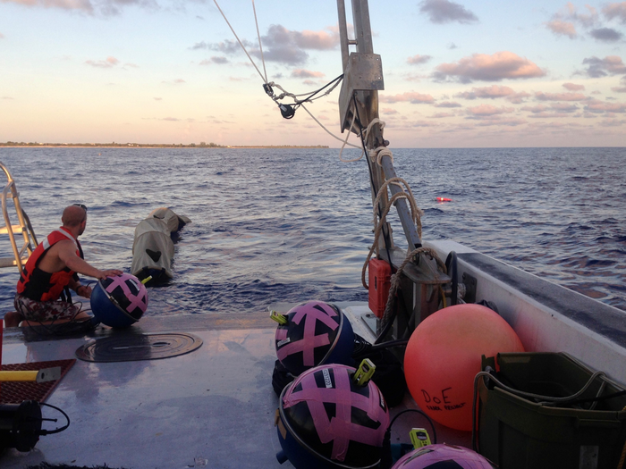 Drifters used to track ocean c [IMAGE] | EurekAlert! Science News Releases