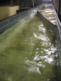 Restoring Europe's river connectivity | EurekAlert!