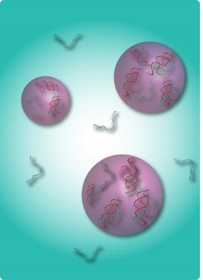 Early-Earth cells modeled to show how first l | EurekAlert!