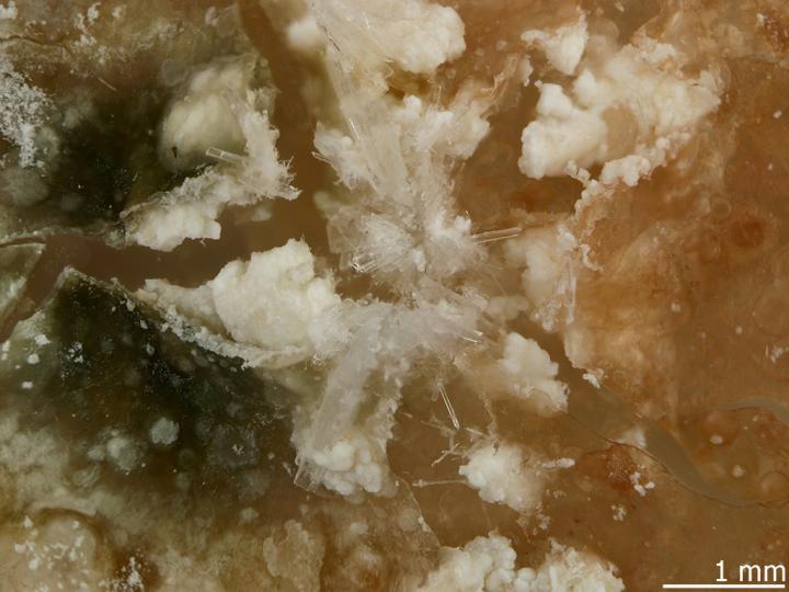 Earth's mineralogy unique in the cosmos | EurekAlert!