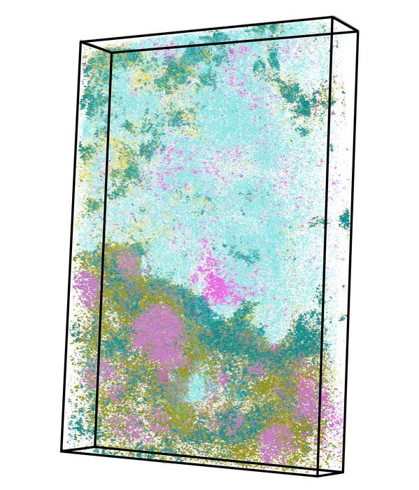 3D virtual tissue block [IMAGE] | EurekAlert! Science News Releases