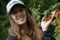 Wind, warmth boost insect migration, first-ev | EurekAlert!