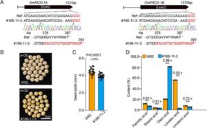 Breaking boundaries: PAM-less genome editing | EurekAlert!