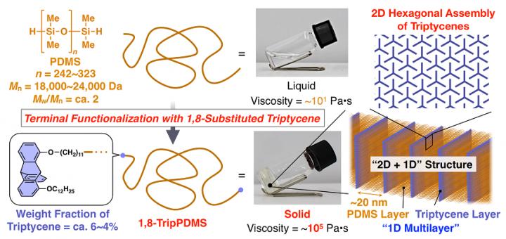 Structure of the Modified PDMS [IMAGE] | EurekAlert! Science News Releases