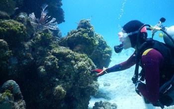 Alexandra Davis, Oregon State [IMAGE] | EurekAlert! Science News Releases