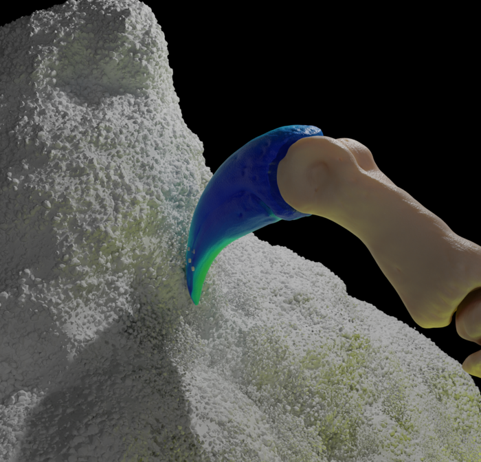 Dinosaur claws used for digging and display | EurekAlert!